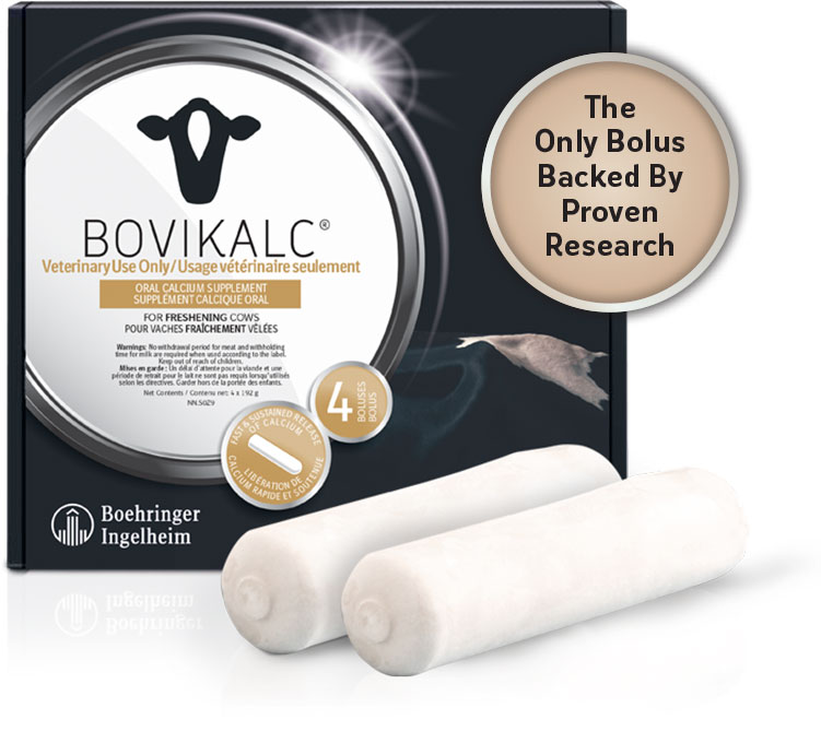 Departments - Bovikalc Calcium Bolus